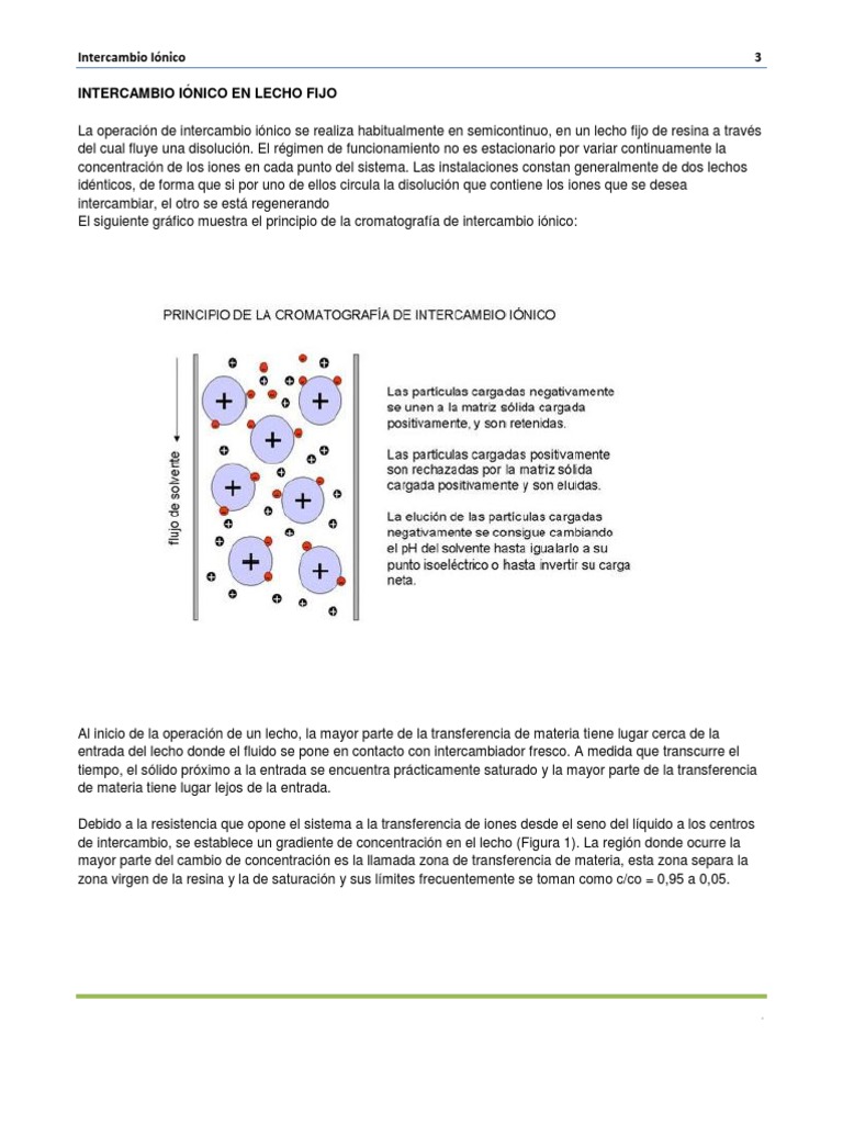 Intercambio Iónico | PDF | Intercambio iónico | Longitud