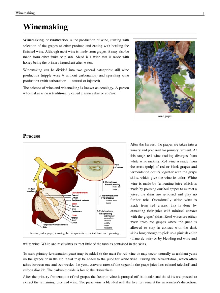 Winemaking | Download Free PDF | Winemaking | Fermentation In Winemaking