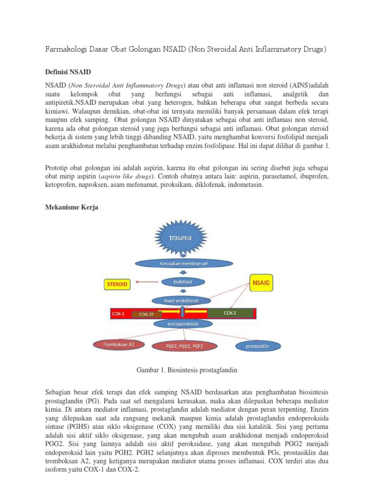 Farmakologi Dasar Obat Golongan NSAID (Non Steroidal Anti Inflammatory ...