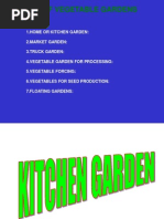 Tui Planting Calendar Poster | PDF | Vegetables | Crops