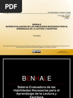 Protocolo Banfe | PDF