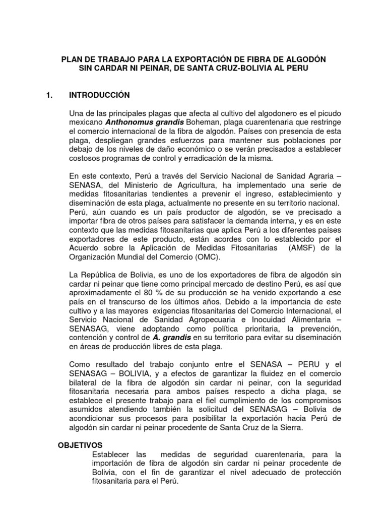 Plan de Trabajo Algodon Bolivia | PDF | Algodón | Perú