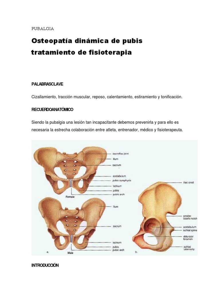 Tratamiento y Prevención de Pubalgia | PDF | Rodilla | Pelvis