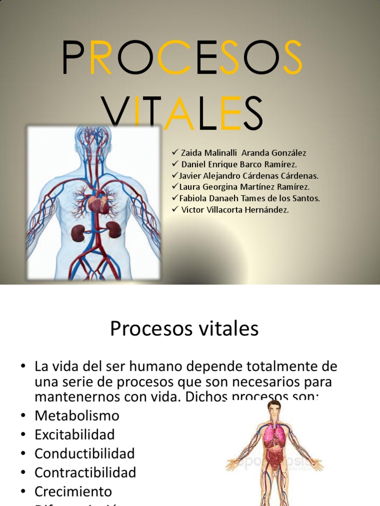 Procesos Vitales del Cuerpo Humano | PDF | Reproducción | Biología Celular)