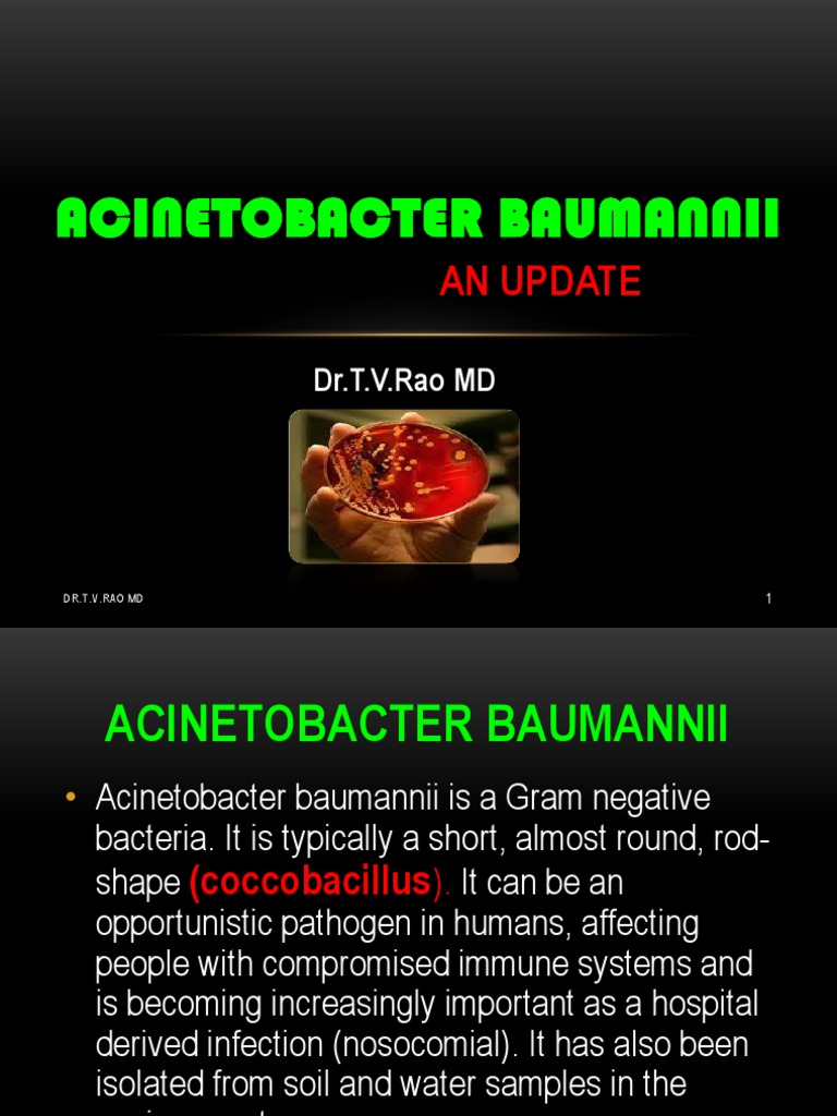 Acinetobacter baumannii infections update | Antimicrobial Resistance ...