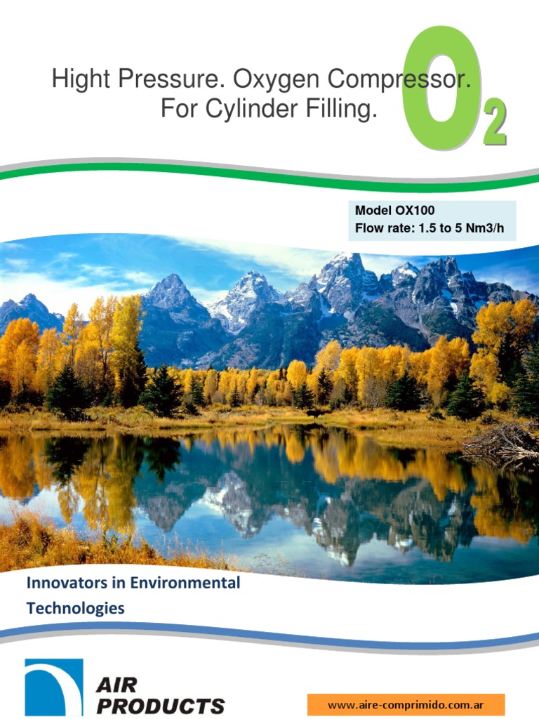 OX100 Oxygen Compressor | PDF | Gas Compressor | Pressure