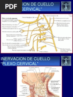 Inervación Del Corazón | PDF | Corazón | Neuroanatomía