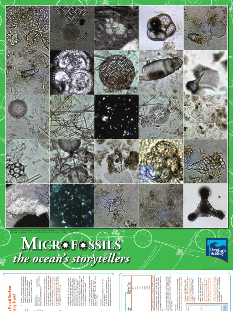 Microfossil Poster | Isotope | Earth & Life Sciences