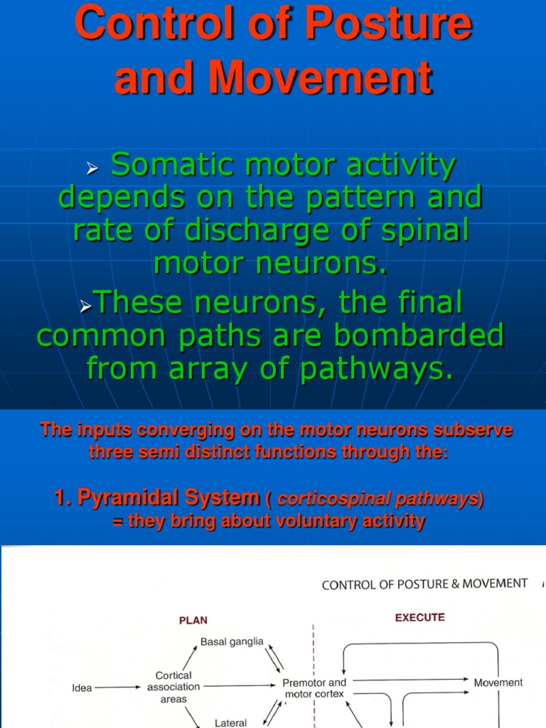 Control of Posture and Movement | PDF