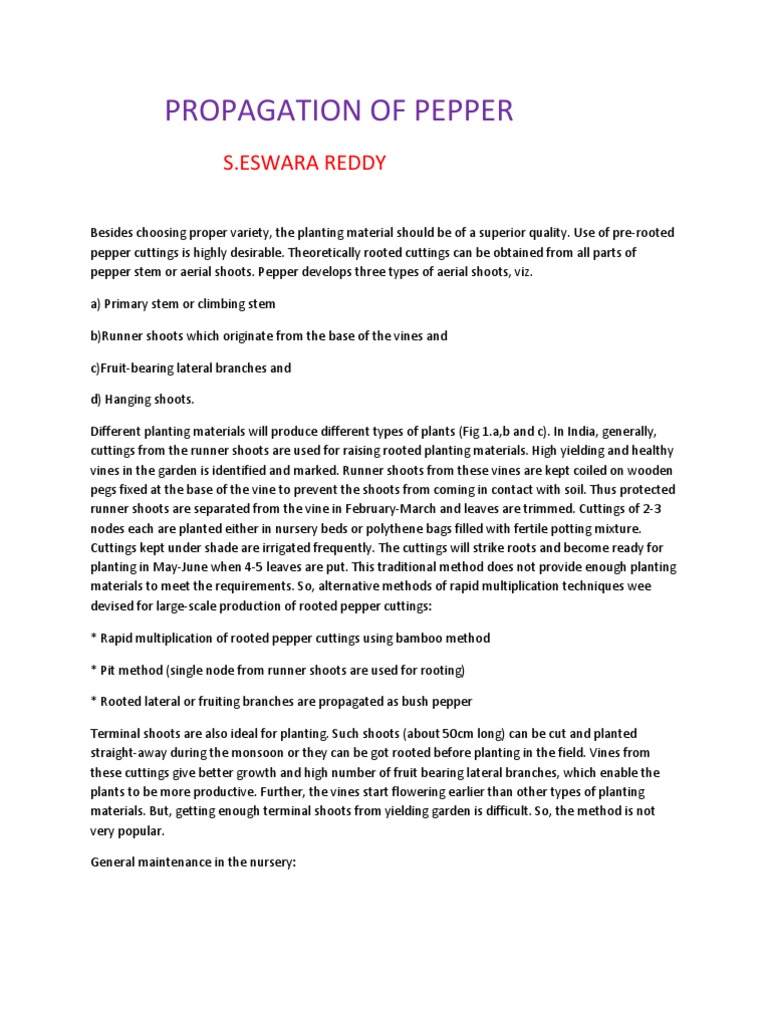 Propagation and Types of Pepper and Types of Pepper | PDF | Black ...