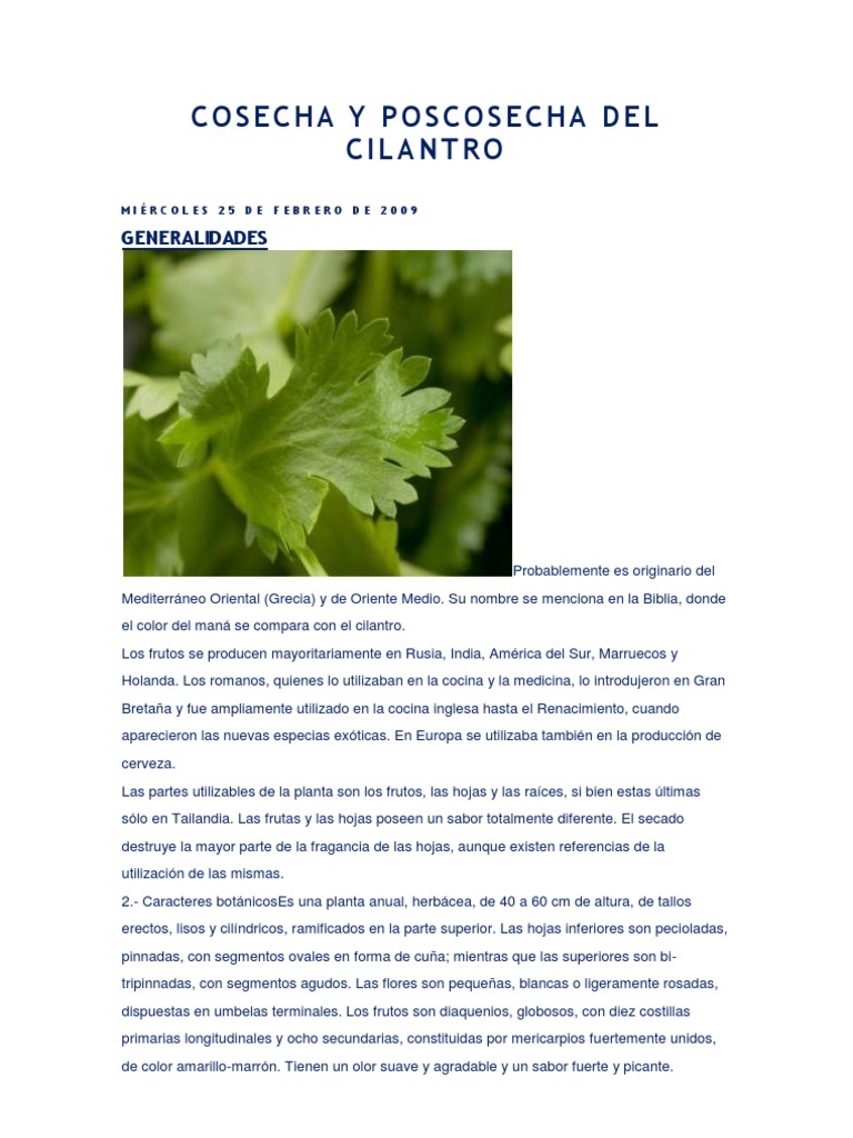 Cosecha y Poscosecha Del Cilantro | PDF | Cilantro | Quelación