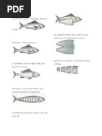 Philippine Fish Names and Species Guide | PDF | Philippines | Seafood