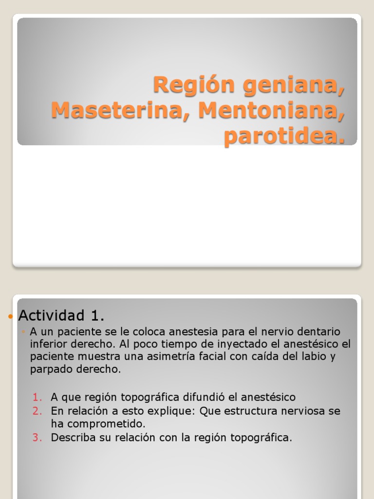 Region Geniana 2 | PDF | Anatomía humana | Anatomia animal