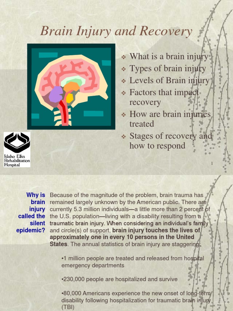 Understanding Brain Injury and Recovery | PDF | Traumatic Brain Injury ...