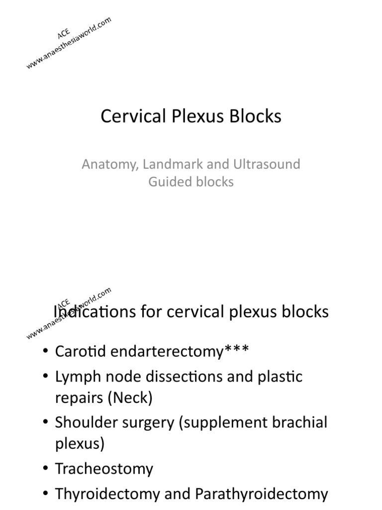 Cervical Plexus Blocks | PDF | Neck | Human Anatomy