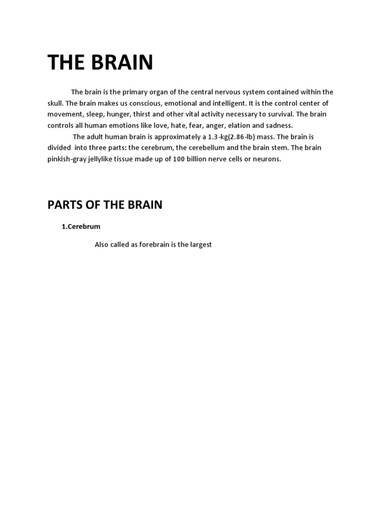 The Brain | PDF | Self-Improvement | Science & Mathematics