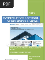 MBA Project Guide Biodata | PDF