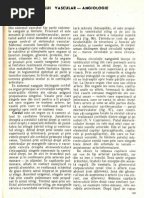 Anatomie Cap Si Gat | PDF