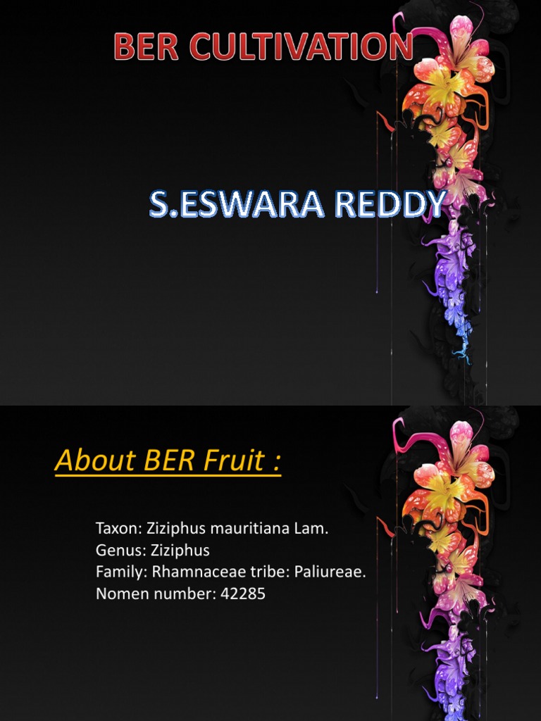 Ber Production Technology-ESWAR | PDF | Plants | Botany