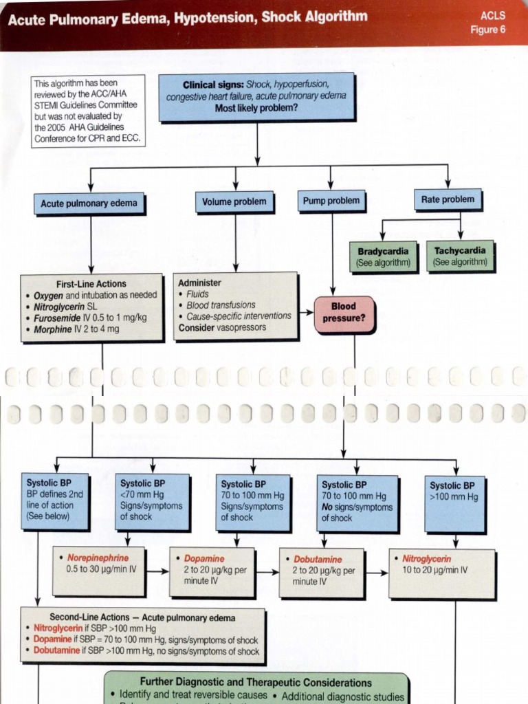 Acute Pulmonaryl Edema, Hypotension, Shock Algorithm | PDF | Diseases ...