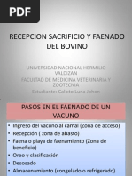 Visita Al Rastro | PDF | Carne | Matadero