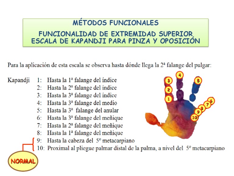 FUNCIONALIDAD DE EXTREMIDAD SUPERIOR ESCALA DE KAPANDJI PARA PINZA Y ...