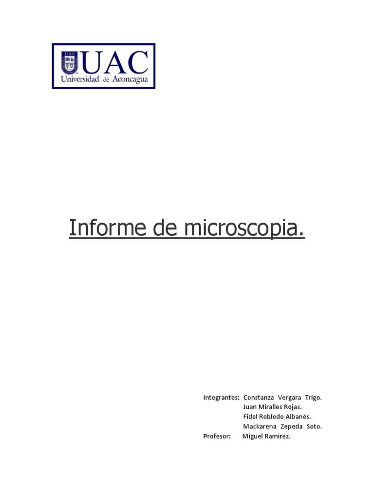 Informe de Micros | PDF | Informática