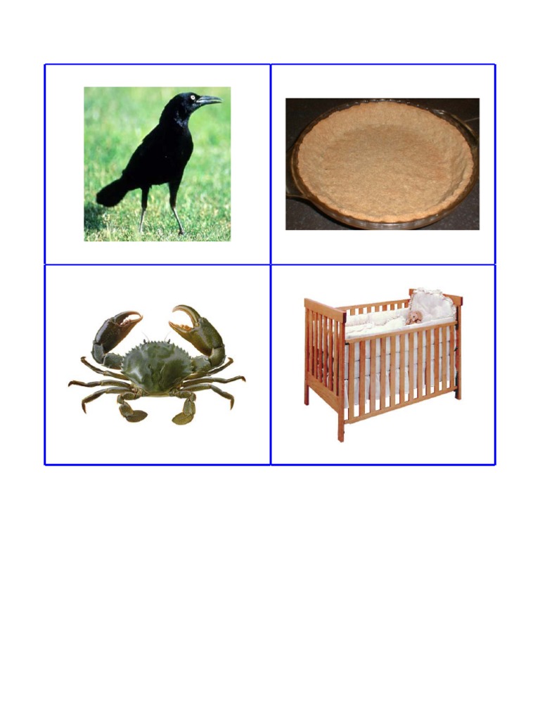 Montessori Blue Sentence Cards | PDF | Home & Garden