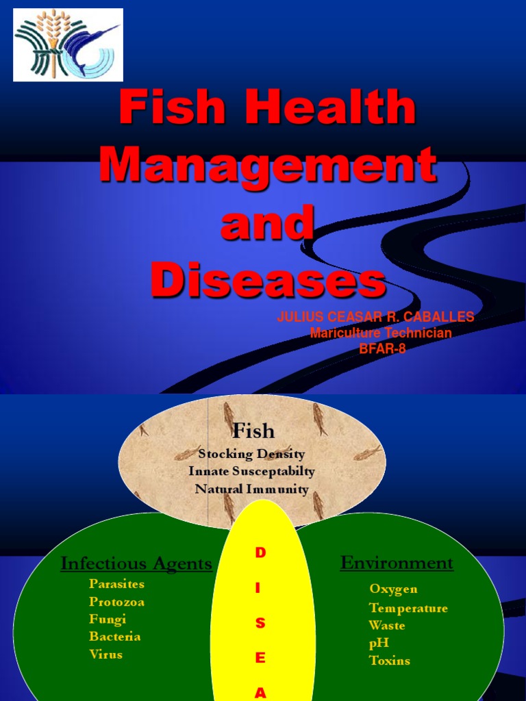 Fish Health Management and Diseases: Common Ailments of Bangus and ...