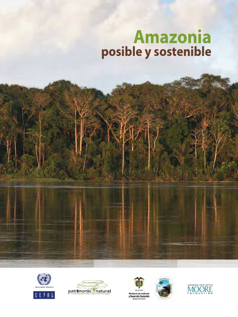 Libro Amazonia Posible y Sostenible | PDF | Deforestación | Selva amazónica