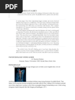 Penanganan Fisioterapi Pada Thoracic Outlet Syndrome. | PDF