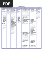 Nursing Care Plan For Angina Pectoris NCP | PDF | Internal Medicine | Heart