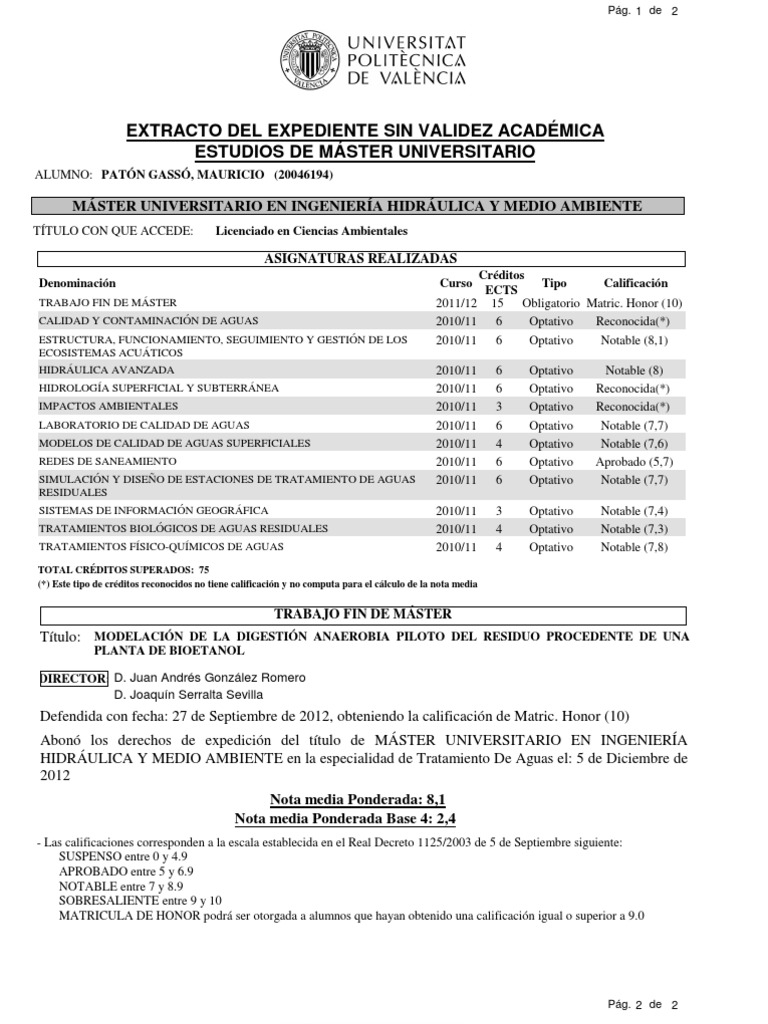 Informe Académico de Mauricio Patón | PDF | Ingeniería hidráulica | Science
