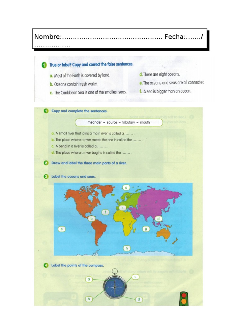 Repaso Final de Science 3º Primaria | PDF | Juegos y actividades