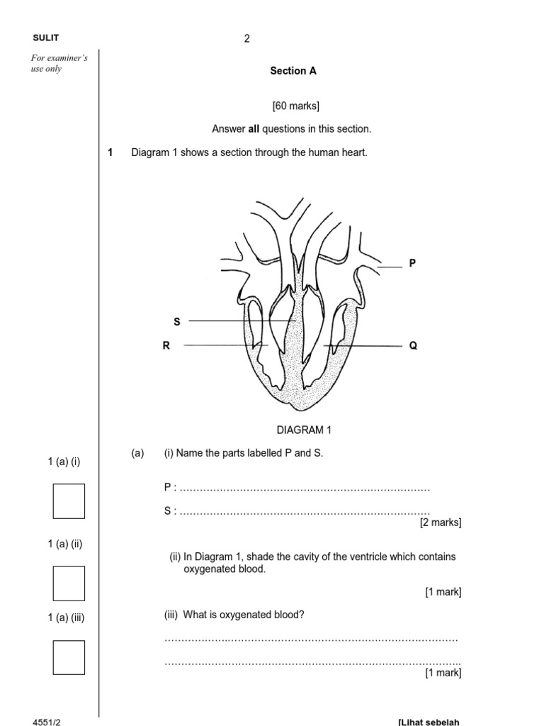 BIOLOGY | PDF | Cardiovascular System | Coronary Circulation