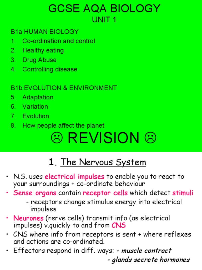 Biology - Notes | PDF
