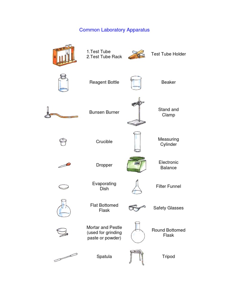 Common Laboratory Apparatus | PDF | Laboratories | Laboratory Equipment