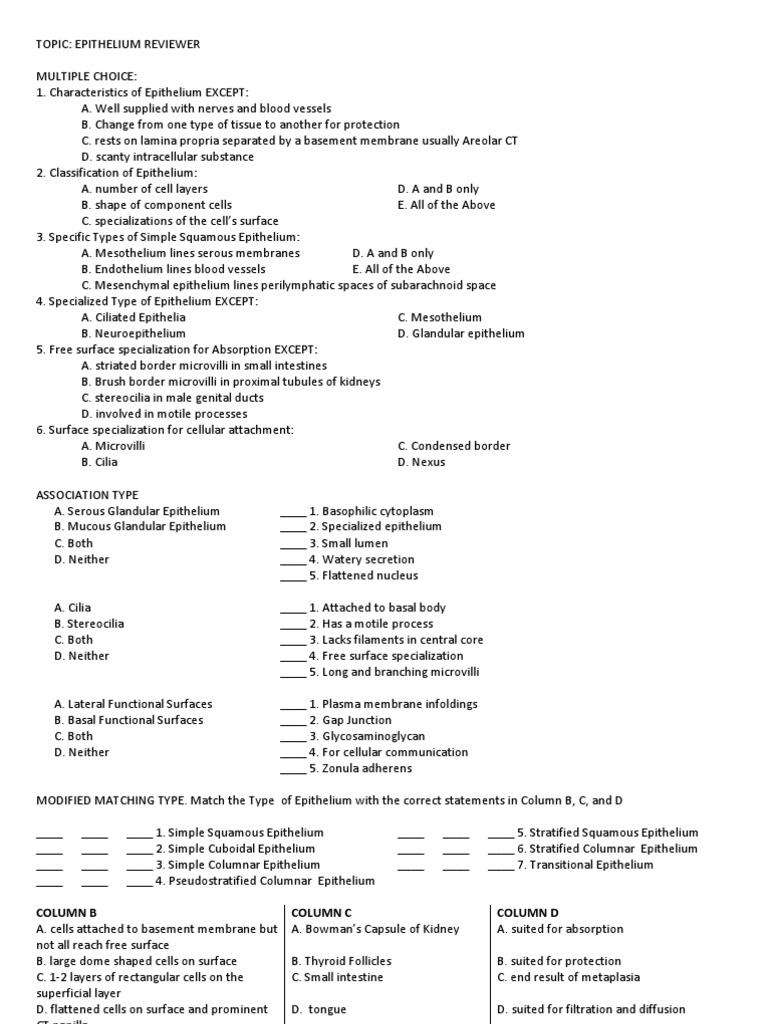 Histology Practice Test 2 | PDF | Epithelium | Organ (Anatomy)