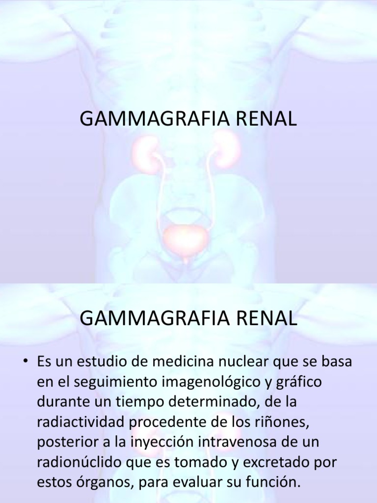 Gammagrafia Renal | PDF | Riñón | Órgano (anatomía)