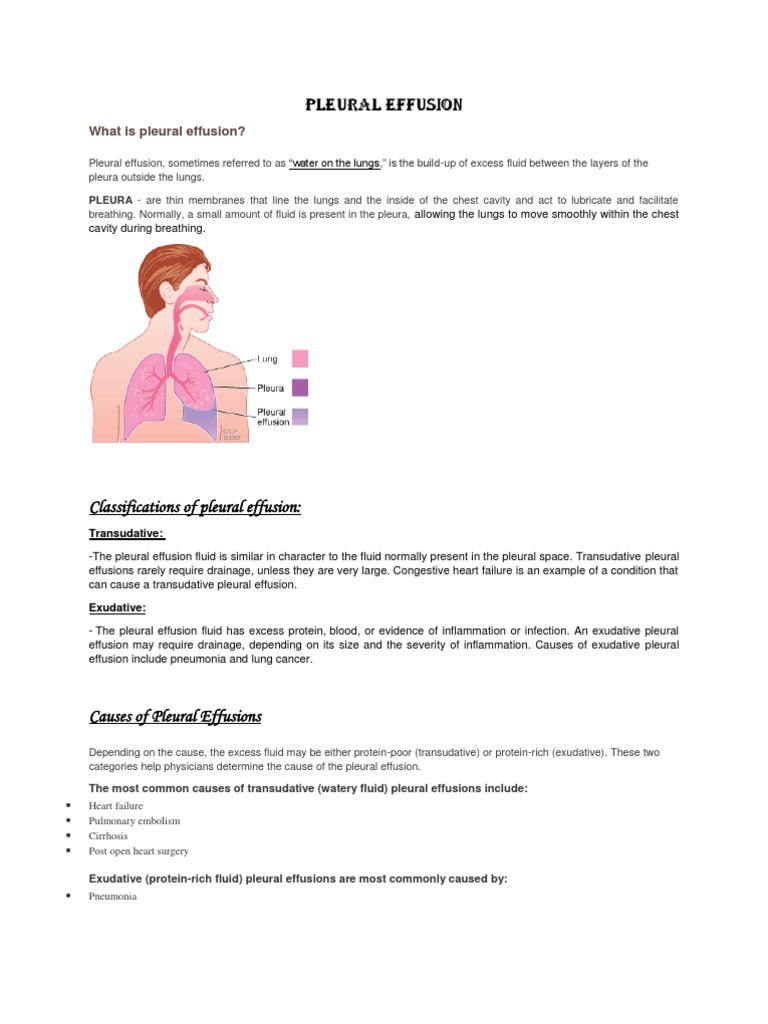 Pleural Effusion | PDF | Clinical Medicine | Medical Specialties