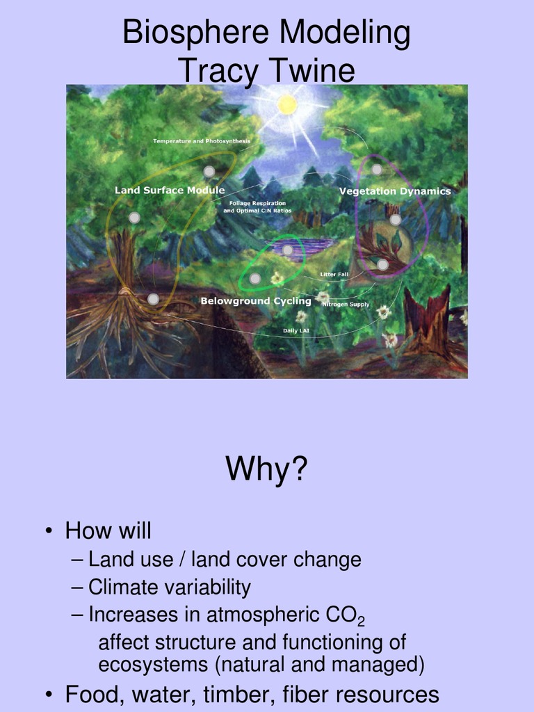 Biosphere Modeling Tracy Twine | PDF | Soil | Systems Ecology