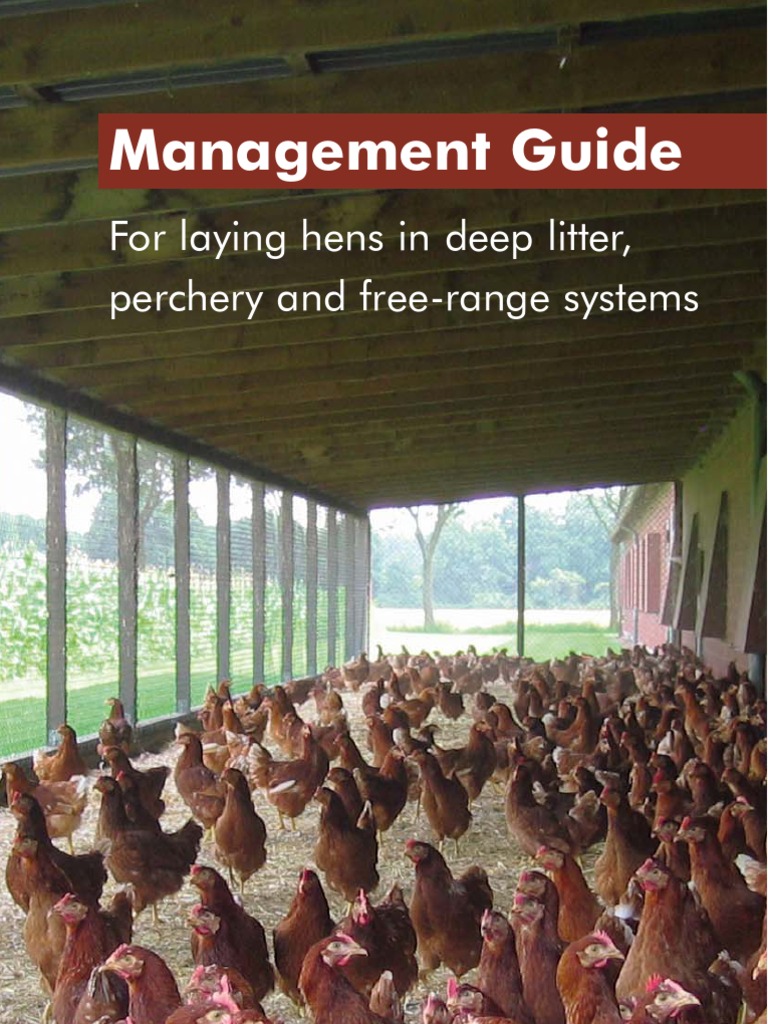 Management Guide For Laying Hens in Deep Litter, Perchery and Free ...