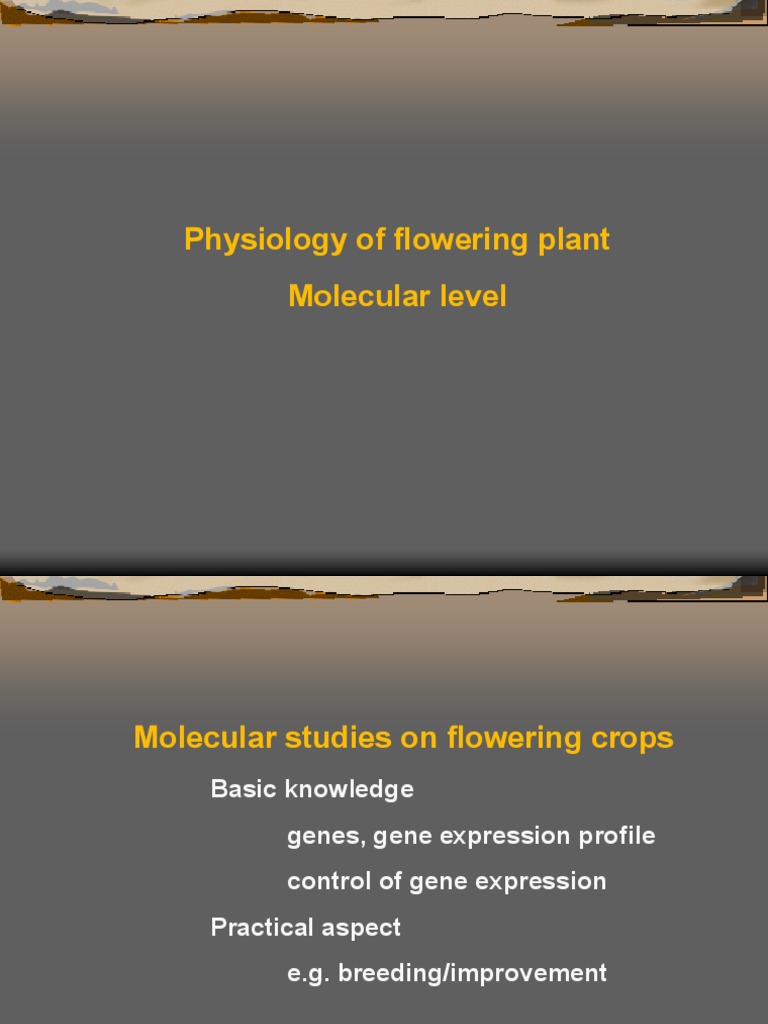 Physiology of Flowering Plant Molecular Level | PDF | Flowers | Genetics