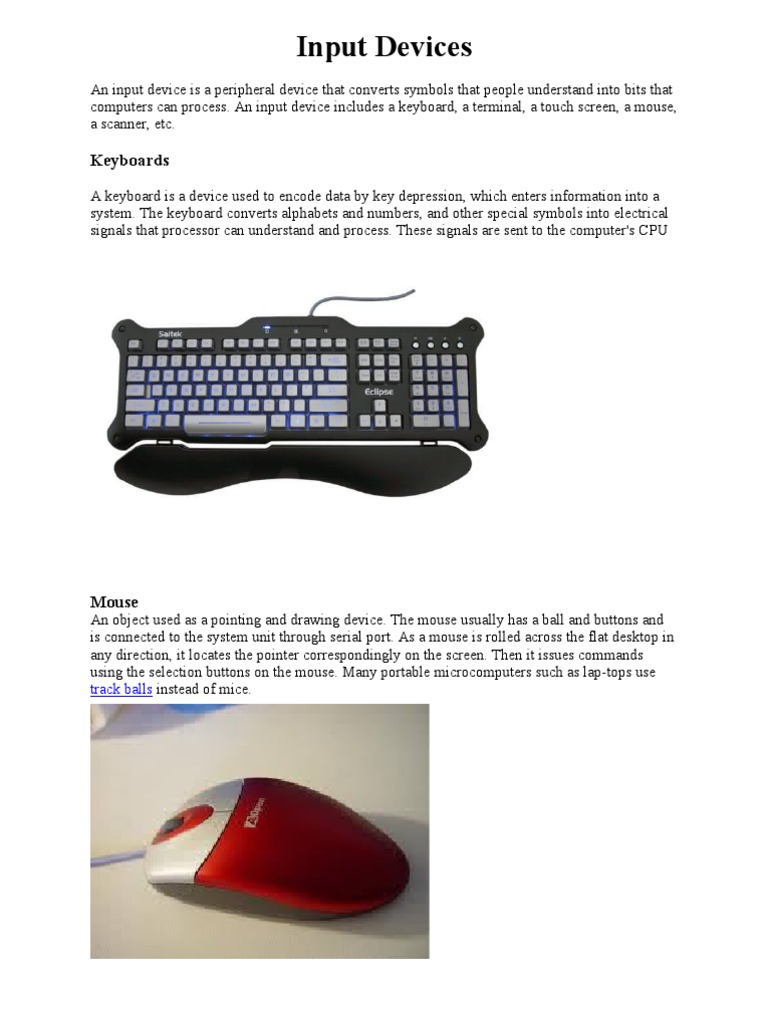Input Devices | PDF | Computer Monitor | Computer Keyboard