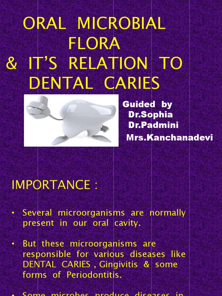 Oral Microbial Flora | PDF | Human Tooth | Dentistry