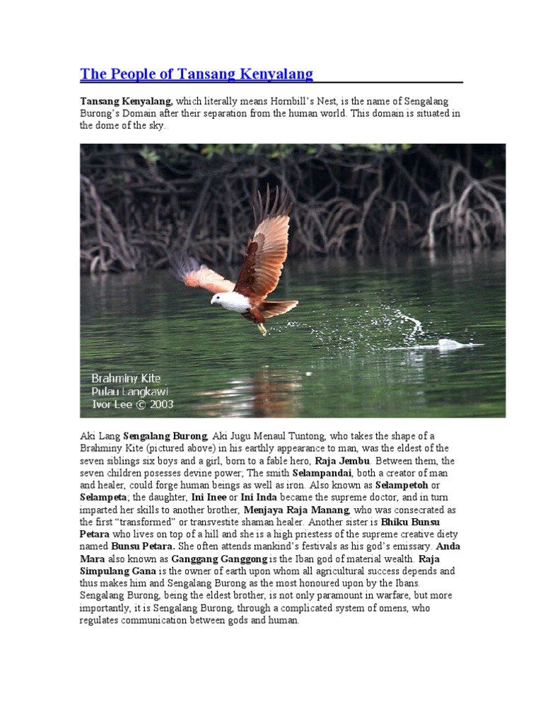 The People of Tansang Kenyalang | PDF | Nature