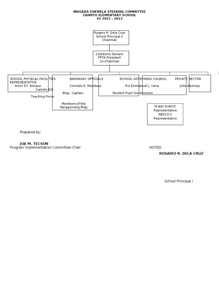 Brigada Eskwela Steering Committee | PDF