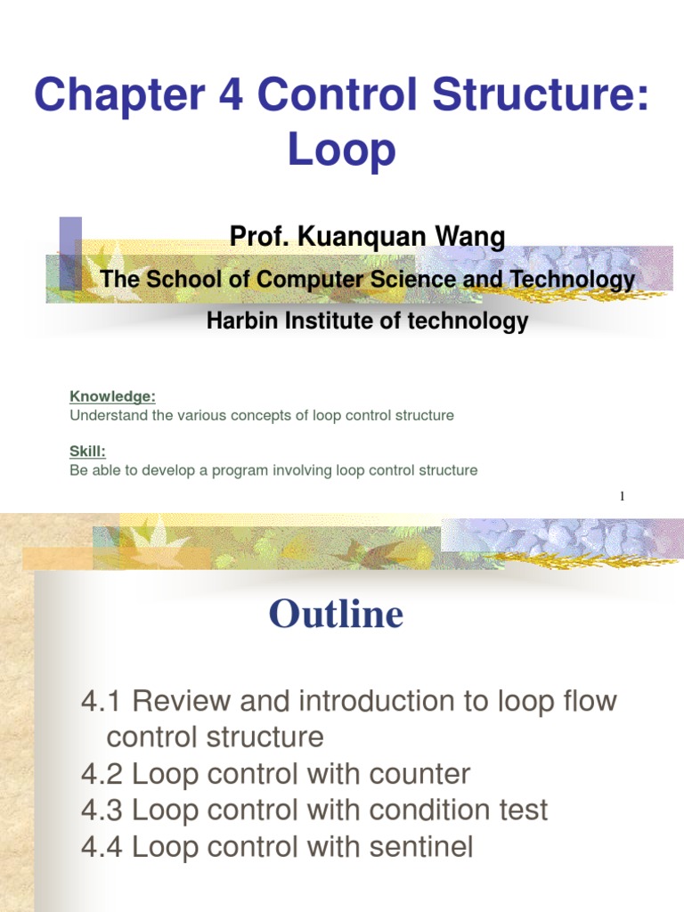 Chapter 4 Control Structure: Loop: Prof. Kuanquan Wang | PDF | Control Flow | Summation