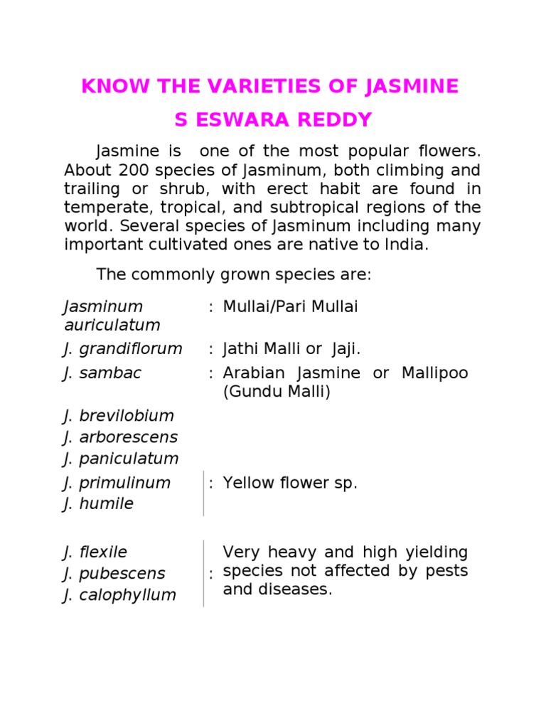 Varieties of Jasmine Flowers in India | PDF | Flora | Landscape