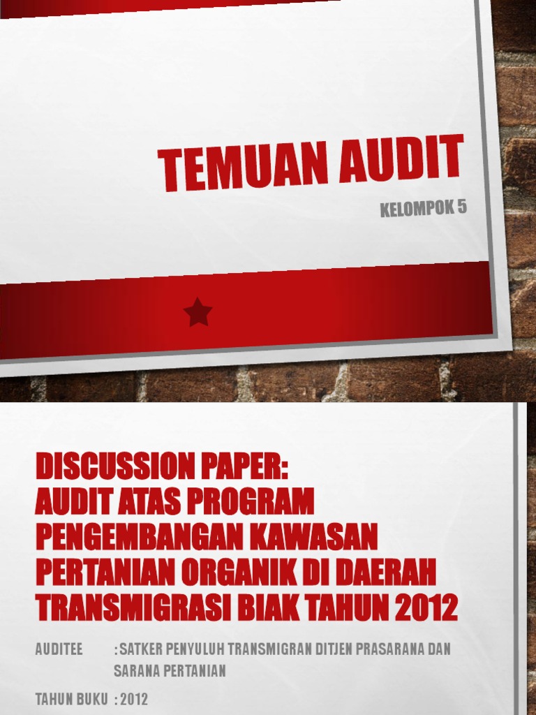 Temuan Audit Kinerja | PDF